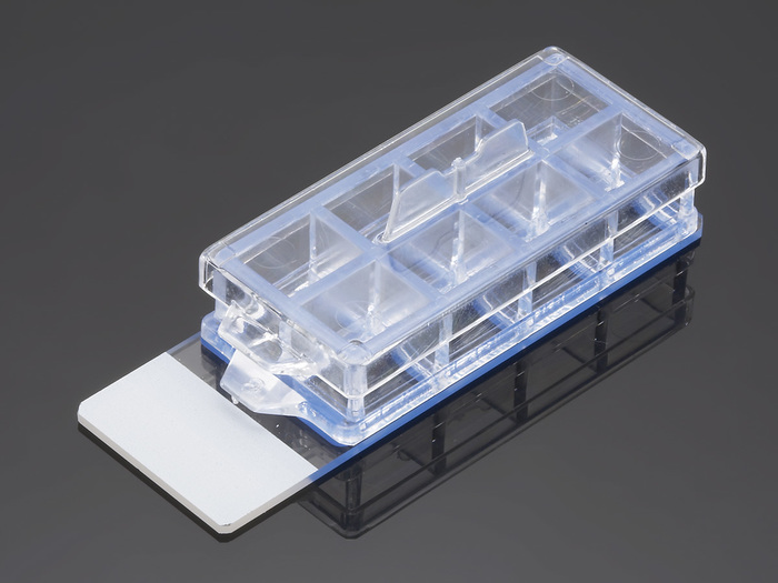 Culture Slides | Corning