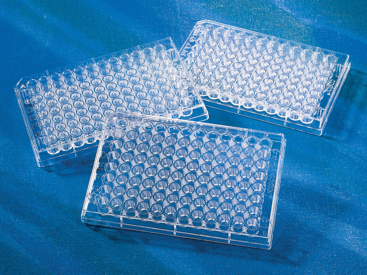 Microplate 96 Well Polystyrene Clear Flat Bottom TC Treated With 