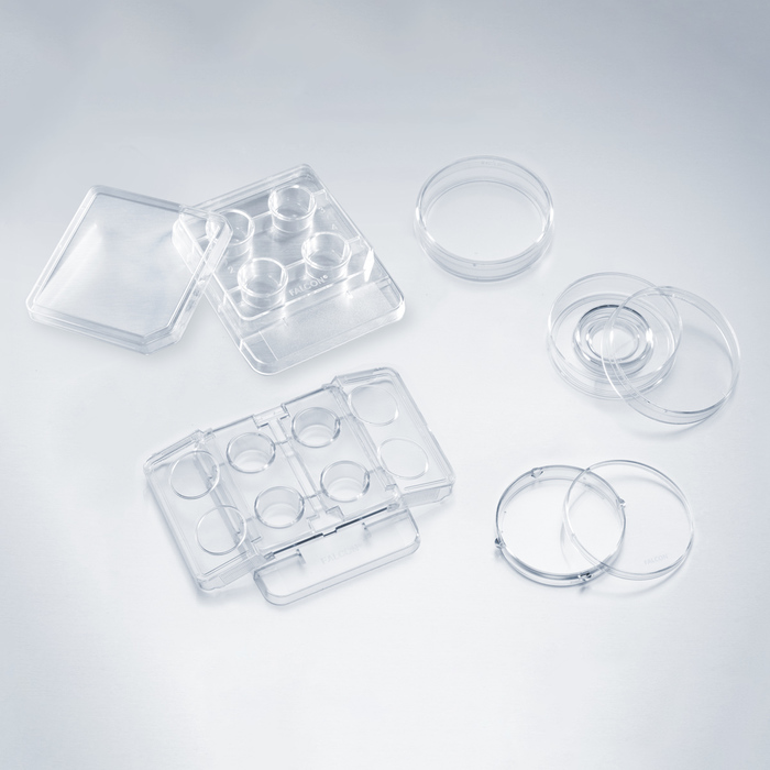 Dishes and Plate, IVF | Corning