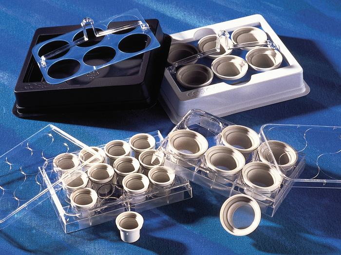 Multiwell Plates | Corning