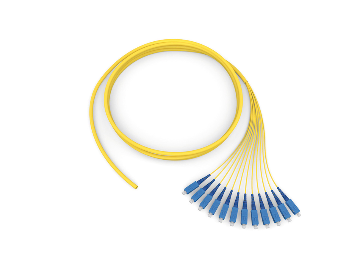 Fiber Optic Jumper, 12 F, Pigtail to SC, Fan-Out Cable, Riser, 2.0 mm ...