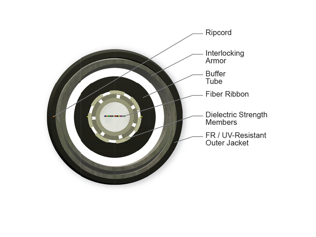 012ECF-14101-A1 | FREEDM Ribbon Interlocking Armored, Gel-Filled Cable, Riser 12 F, Single-mode ...