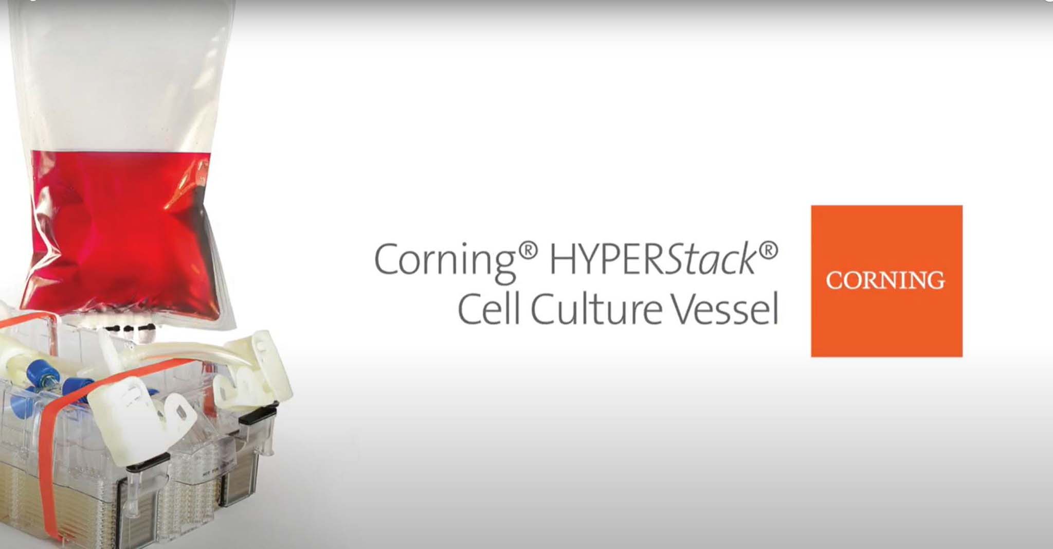 Corning High Yield PERformance (HYPER) Technology | Vaccine, Protein ...