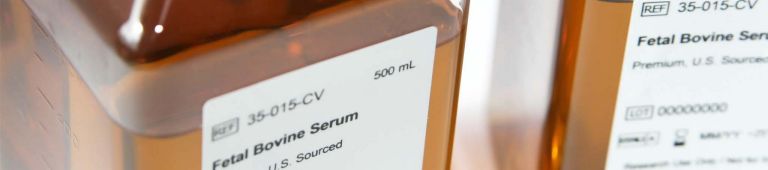 Animal Sera Products | Cell Culture Serum | Corning