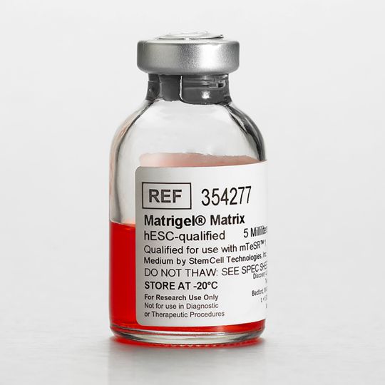 Stem Cell Expansion and Stem Cell Isolation | Corning