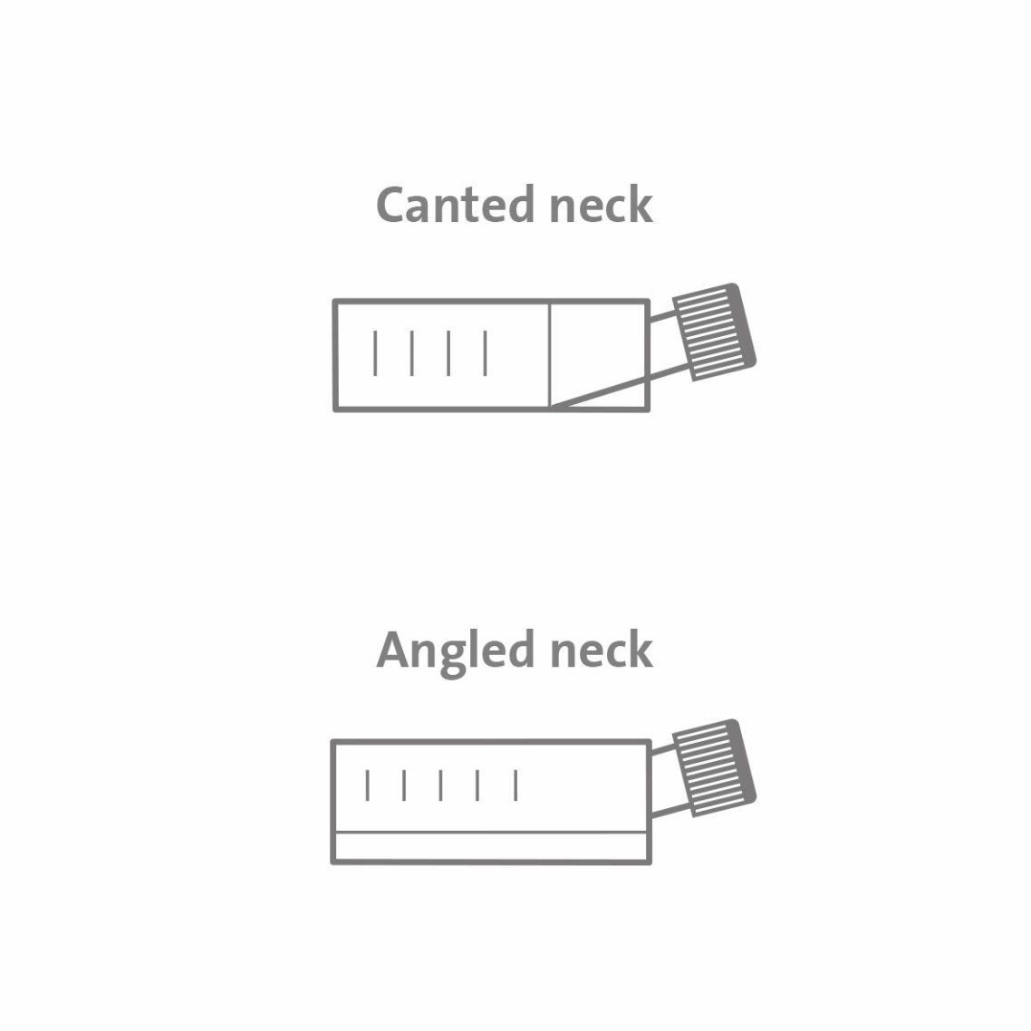 Corning® Cell Culture Flasks