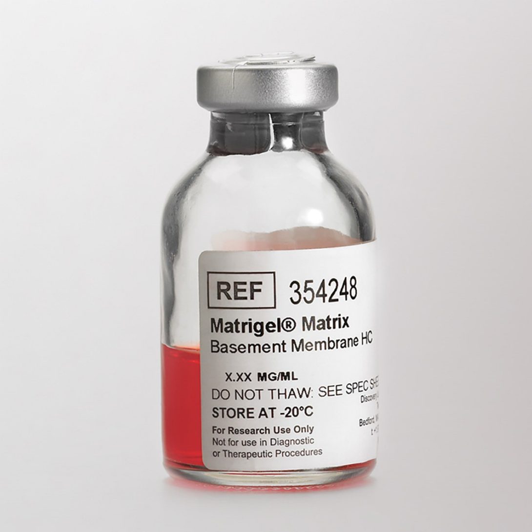 Corning® FluoroBlok™ Cell Culture Inserts | Light-tight PET Membrane ...