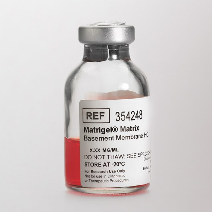 Corning® FluoroBlok™ Cell Culture Inserts | Light-tight PET Membrane ...