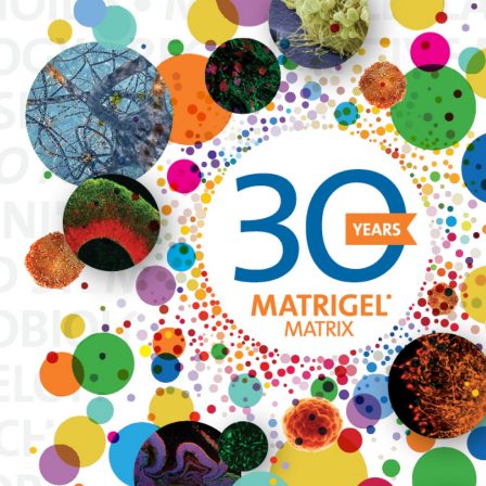 Corning® Matrigel® Matrix and Collagen Availability Update