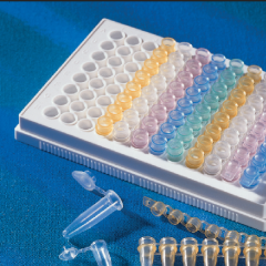 Axygen® Brand Products | Life Sciences Brands | Corning