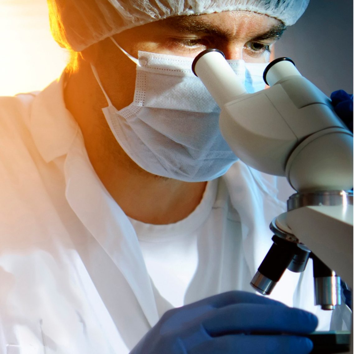 Stem Cell Applications & Solutions | Stem Cell Culture Products | Corning