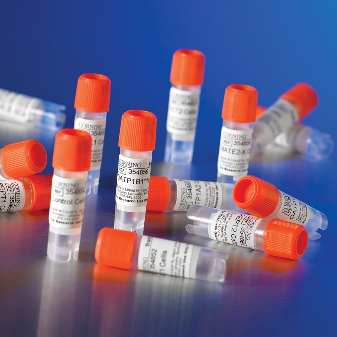 Customer Service | Life Sciences | Corning