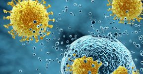 Bioprocess Products and Equipment | Corning