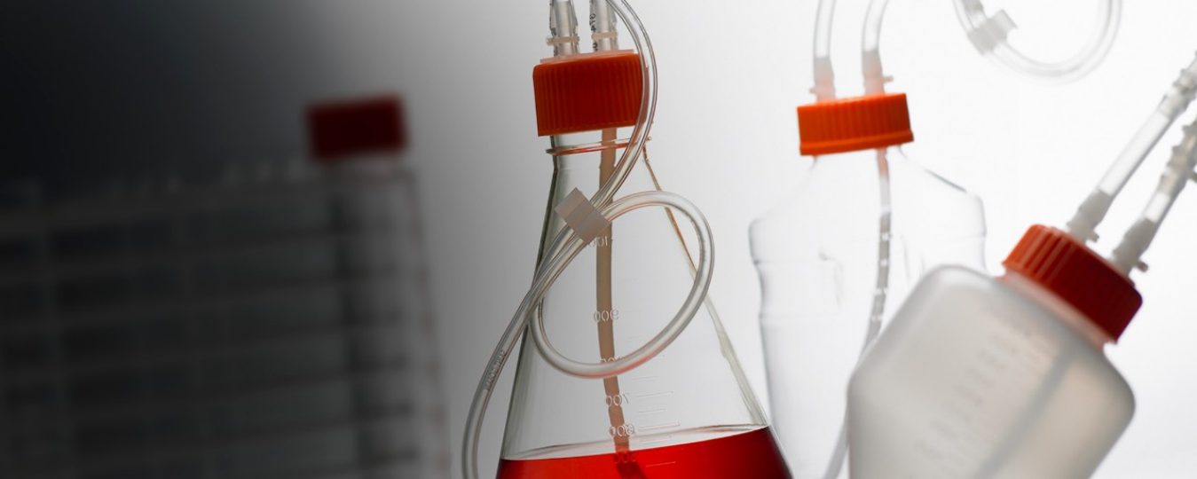 Bioprocess | Life Sciences | Corning