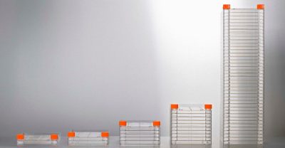 Stem Cell Products | Stem Cell Therapy Products | Corning