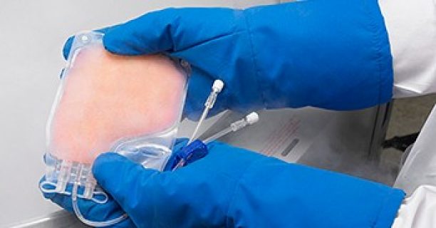 Cell Therapy Solutions | Cell and Gene Therapy Equipment | Corning