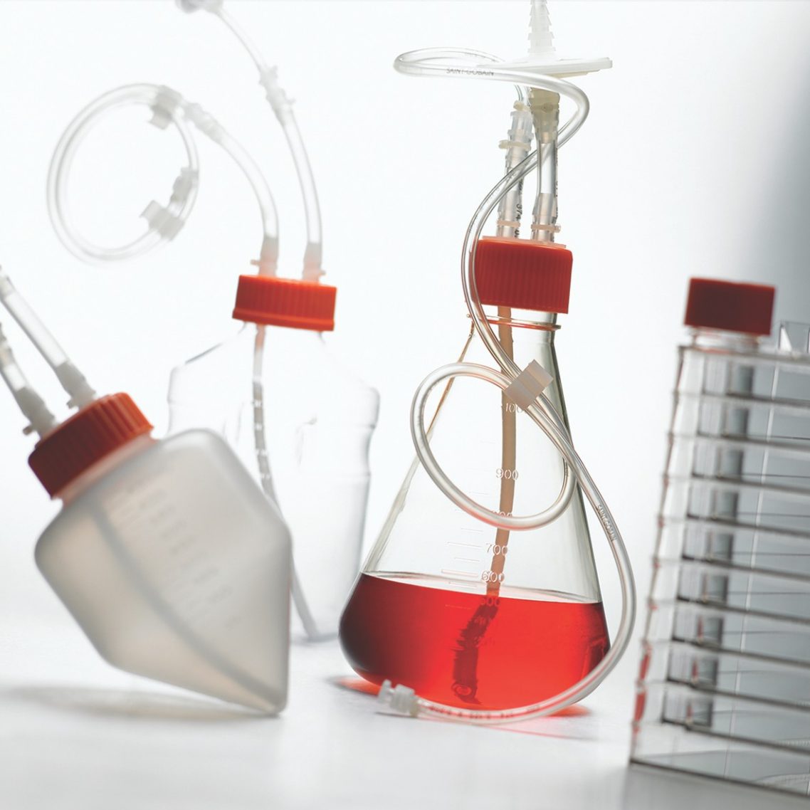 Cell Growth Supplements | Cell Culture Reagents | Corning