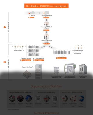 Corning High Yield PERformance (HYPER) Technology | Vaccine, Protein ...