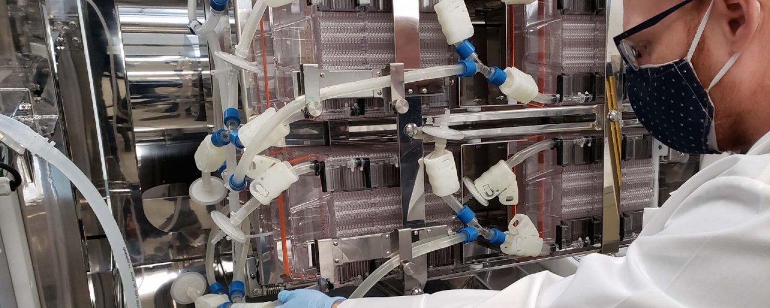 Cell Therapy Solutions | Cell and Gene Therapy Equipment | Corning