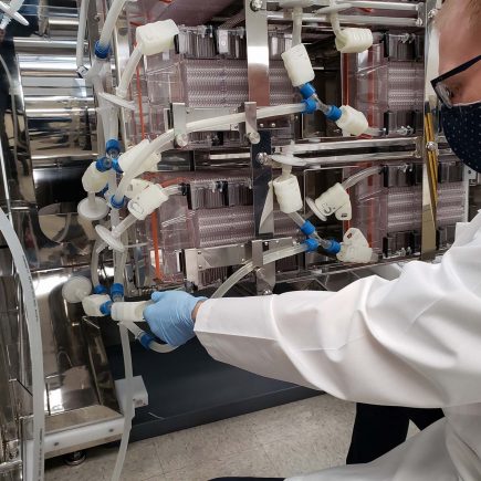 Microcarriers for Cell Culture | Corning