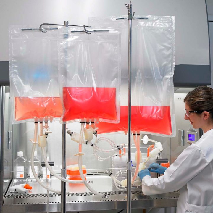 Scalable High Yield System for Mass Cell Culture of Attachment ...