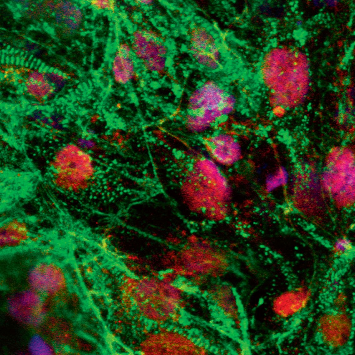 Seed Train Cell Culture | Advanced Therapy Development | Corning