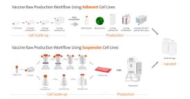 How to Select the Right Platform for Your Vaccine Production Process