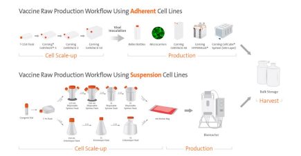 How to Select the Right Platform for Your Vaccine Production Process