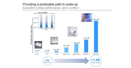 Cell Expansion | Cell Culture Expansion Scale-Up | Corning