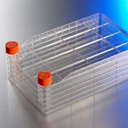 Immune Cell Therapy Applications | Immune Cell Therapy Products | Corning