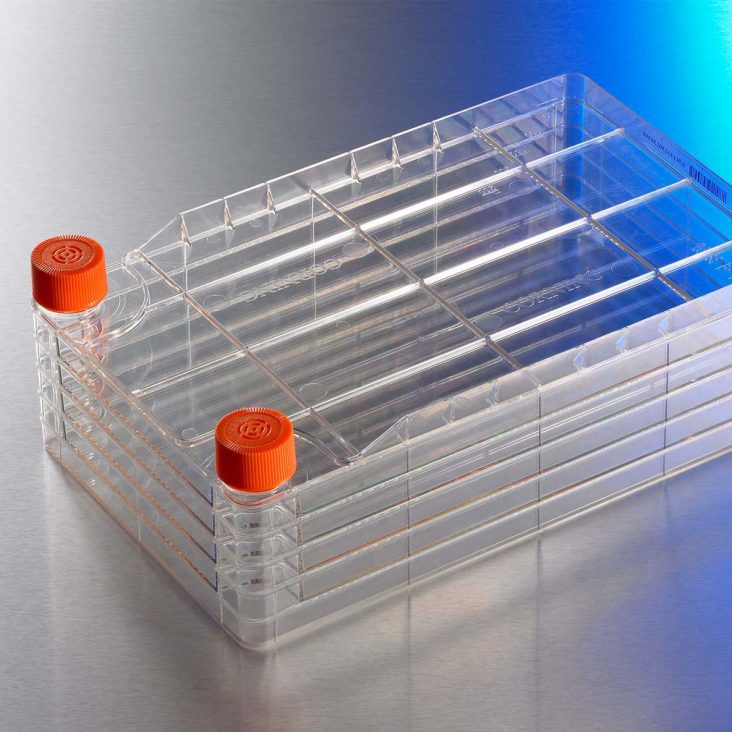 Bioprocess Applications | Bioprocess and Cell Culture Products | Corning
