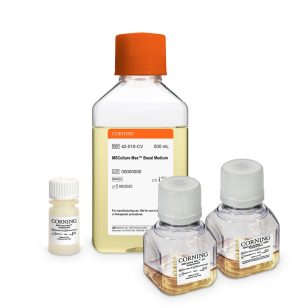 High-Yield Mesenchymal Stem/Stromal Cell Expansion is Advancing Cell ...