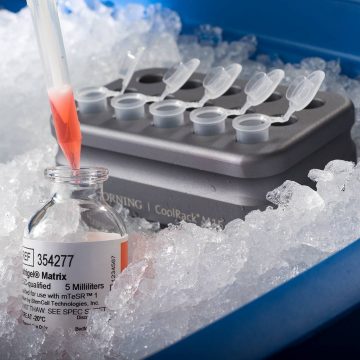 Corning® Matrigel® Matrix and Collagen Availability Update