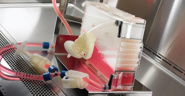 Lentiviral Vector (LV) Adherent Scale-up | Lentivirus Gene Therapy ...