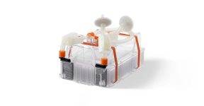 Stem Cell Products | Stem Cell Therapy Products | Corning