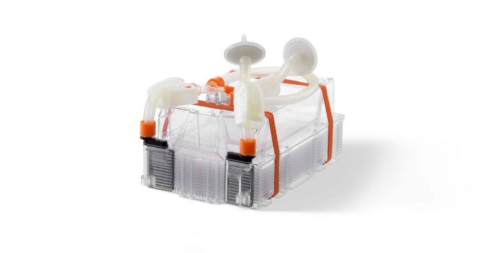 Stem Cell Products | Stem Cell Therapy Products | Corning