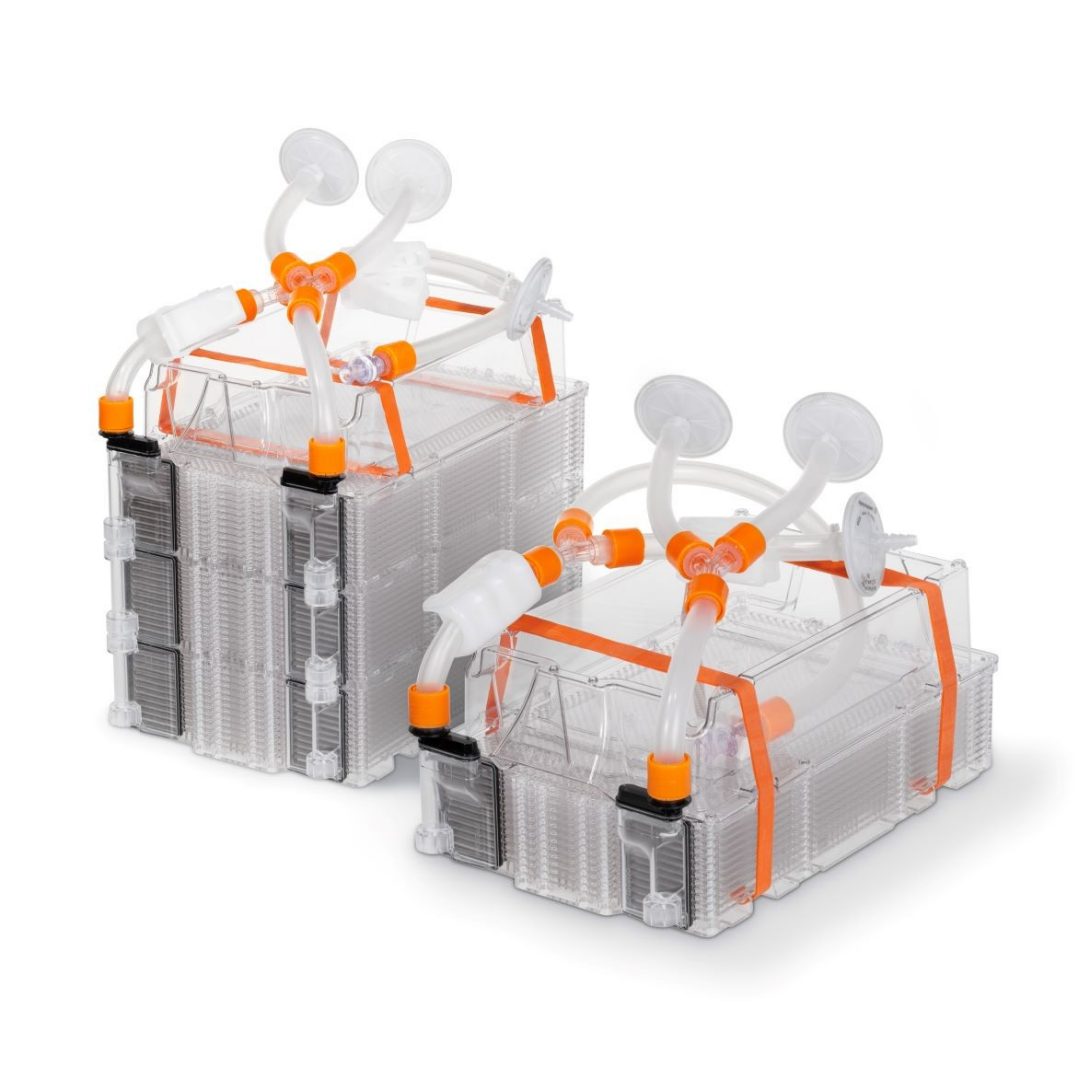 Single-use Bioprocessing Technology | Bioprocess Bags | Corning
