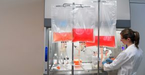 Single-use Bioprocessing Technology | Corning