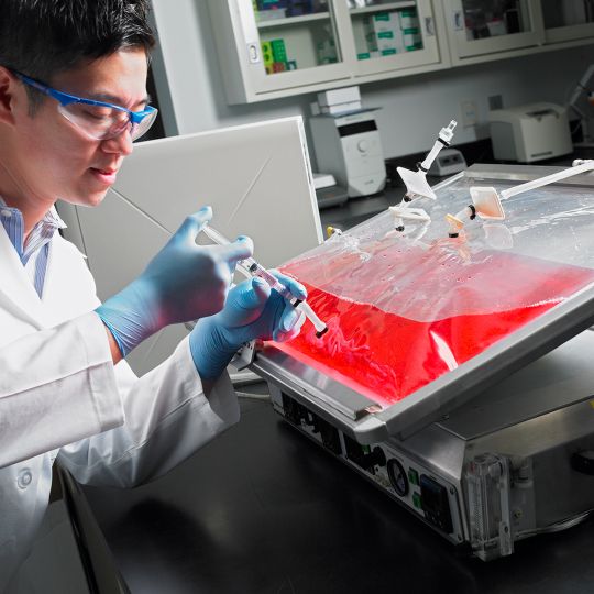 Animal Sera Products | Cell Culture Serum | Corning