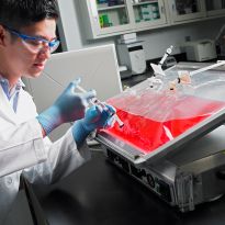 Cell Culture Media Products | Corning