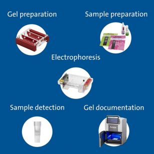 Electrophoresis: An Overview