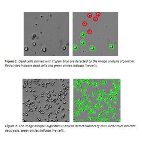 Corning® Cell Counter | Automated Cell Counter | Corning