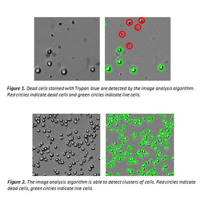 Corning® Cell Counter | Automated Cell Counter | Corning