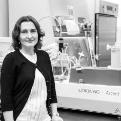 Viral Vector Manufacturing and Cell Harvesting in a Single Adherent ...