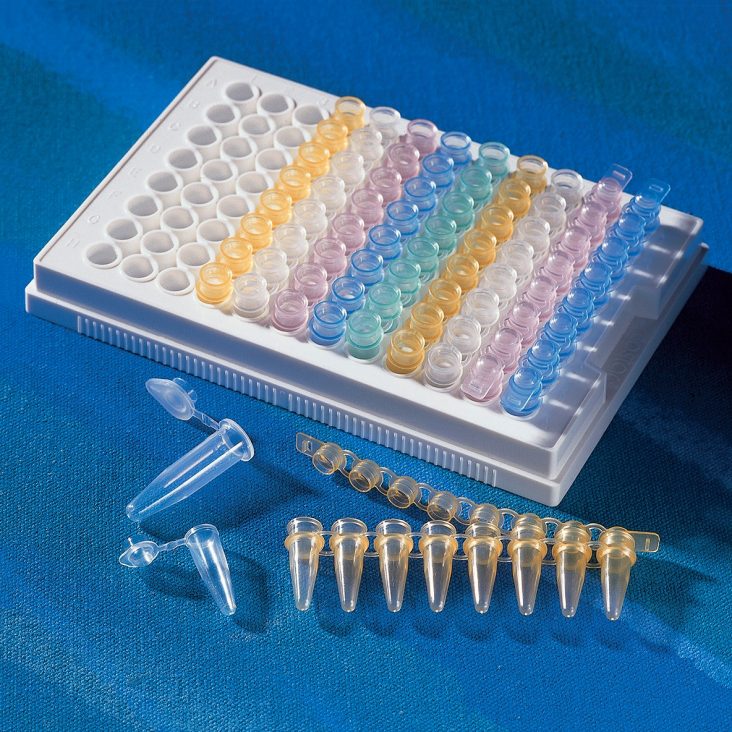 Molecular Biology | PCR and Genomics Solutions | Corning