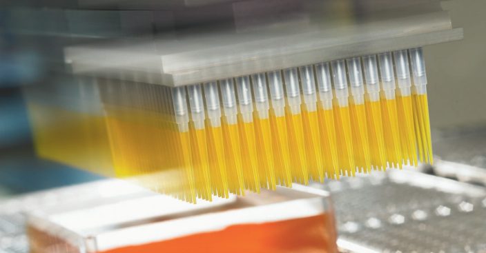 Spheroid Microplates | Microplates | Corning