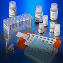 Axygen® Brand Products | Life Sciences Brands | Corning