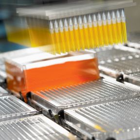 USP Cell Culture Grade Water | RNase-Free, DNase-Free Molecular Biology ...