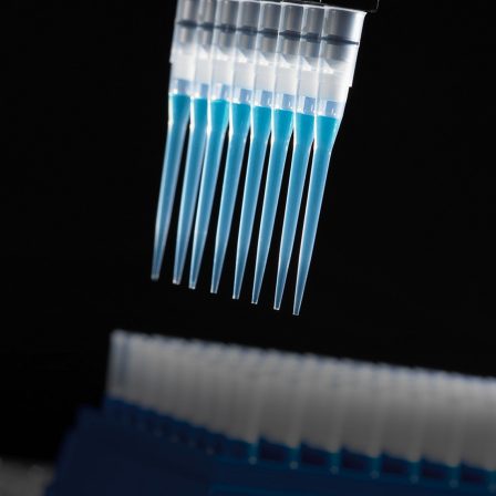 Automation Tips | Automated Liquid Handling Pipet Tips | Corning