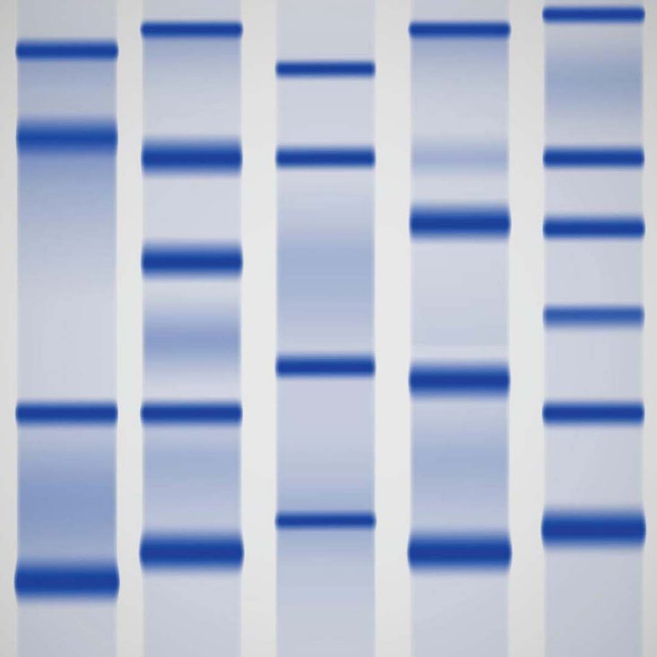 Molecular Biology | PCR and Genomics Solutions | Corning